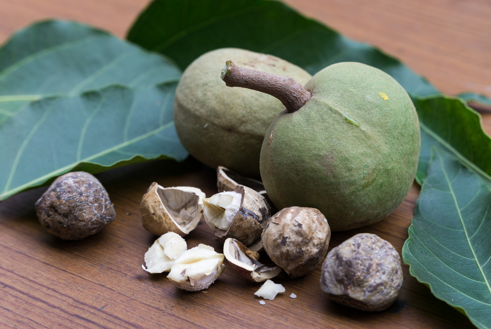 Kona Body Care | All Natural Hawaiian Kukui Nut Oil Skincare Products